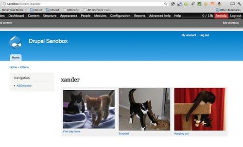 Using Drupal Contextual Filters in Views Using Drupal Contextual Filters in Views